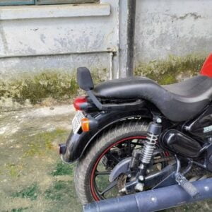 Original Genuine Backrest - Thunderbird/X - Throttle&thump