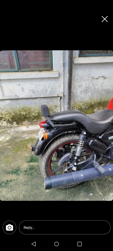 Original Genuine Backrest - Thunderbird/X - Throttle&thump