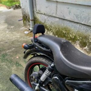 Original Genuine Backrest - Thunderbird/X - Throttle&thump